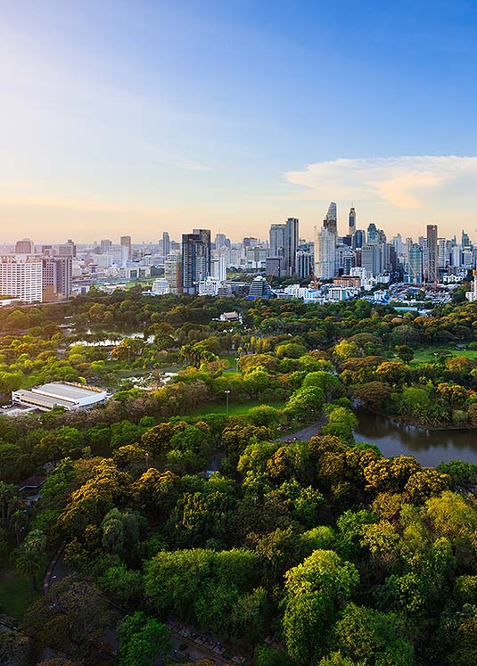 Contact-BLOCK 33 - PMCU