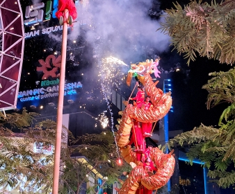 Uncategorized Archives - PMCU